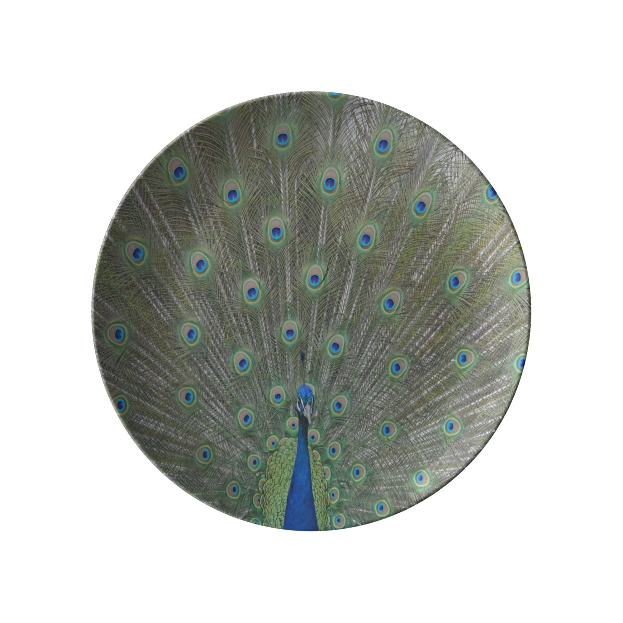 Dinner Plate Set Peacock Design Dinnerware 10 Inch Melamine - Etsy