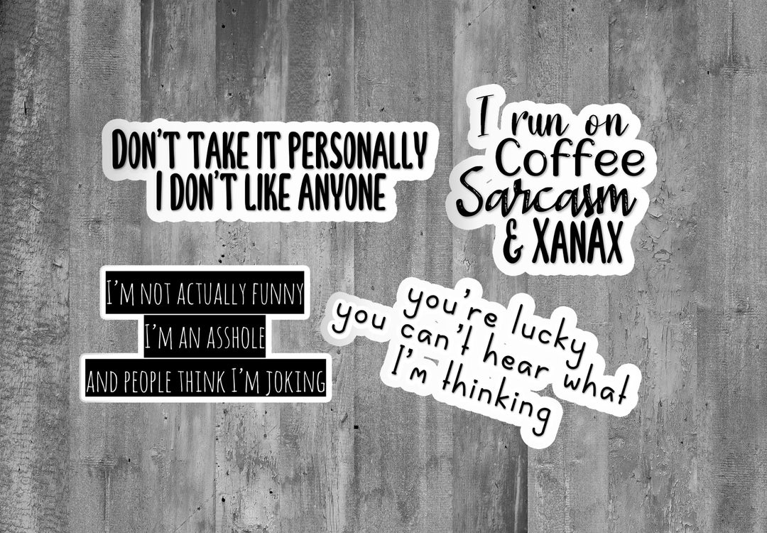 Funny Sarcastic Stickers Pack/ Funny Stickers/adult Humor/water Bottle ...