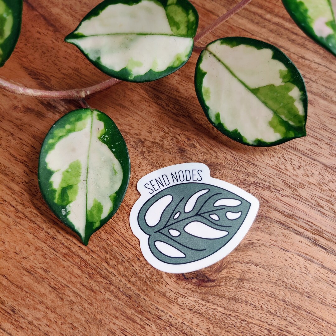 Send Nodes Vinyl Sticker: Waterproof Laptop Decal - Etsy