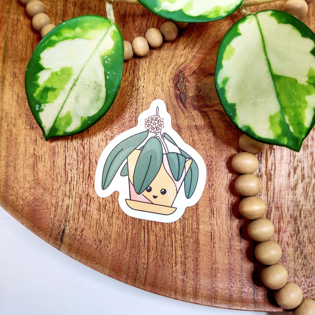 Hoya Treubiana Sticker | Vinyl Sticker | Laptop Sticker | Water Bottle ...