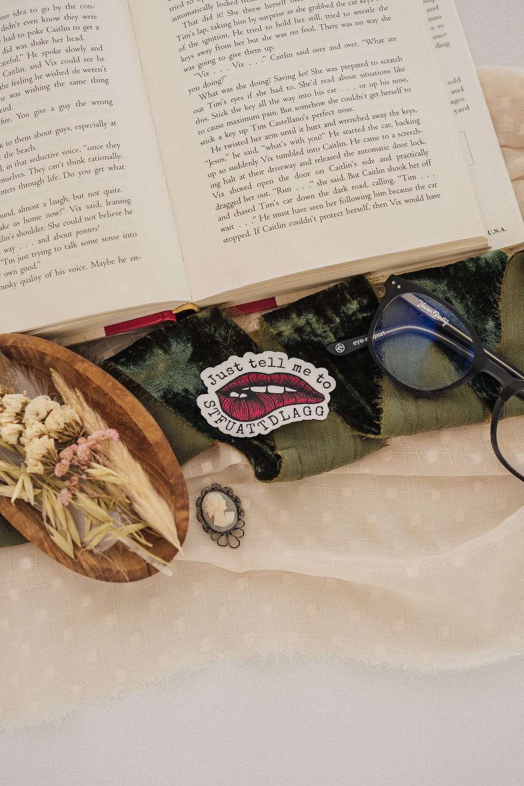 Spicy Dark Romance Sticker, Bookish Stickers for Kindle, STFUATTDLAGG ...