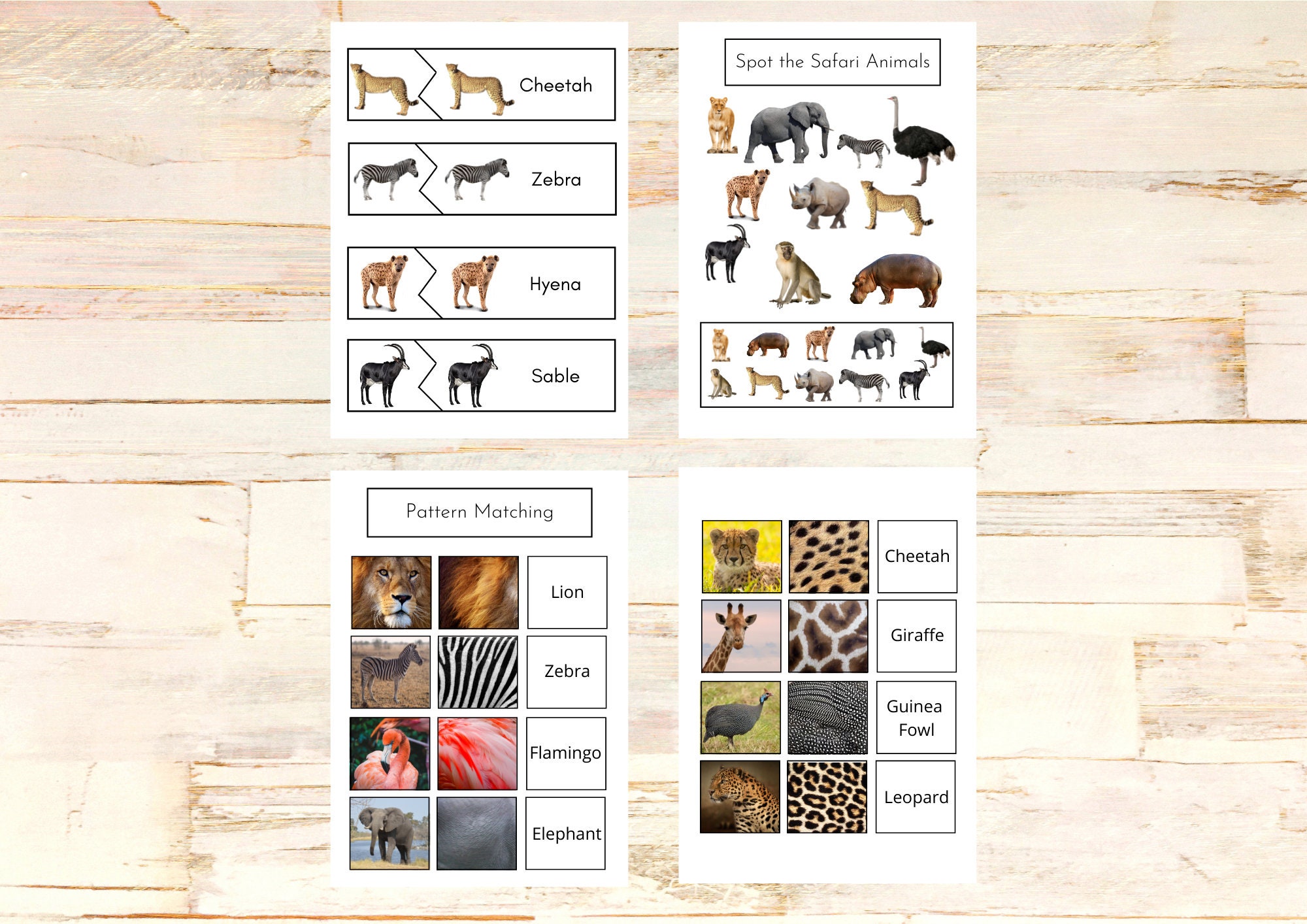 Safari Animals Preschool Activity Mini Bundle - Etsy