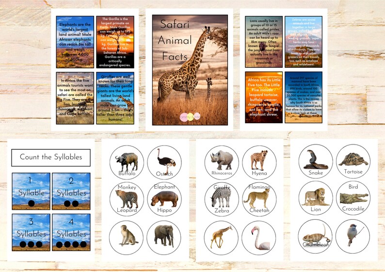 Safari Animals Preschool Activity Mini Bundle - Etsy