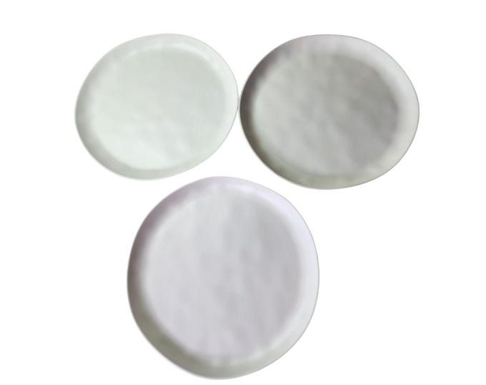 DWELL STUDIO Matte White Textured Look 10.5" Melamine Dinner Plates Set ...