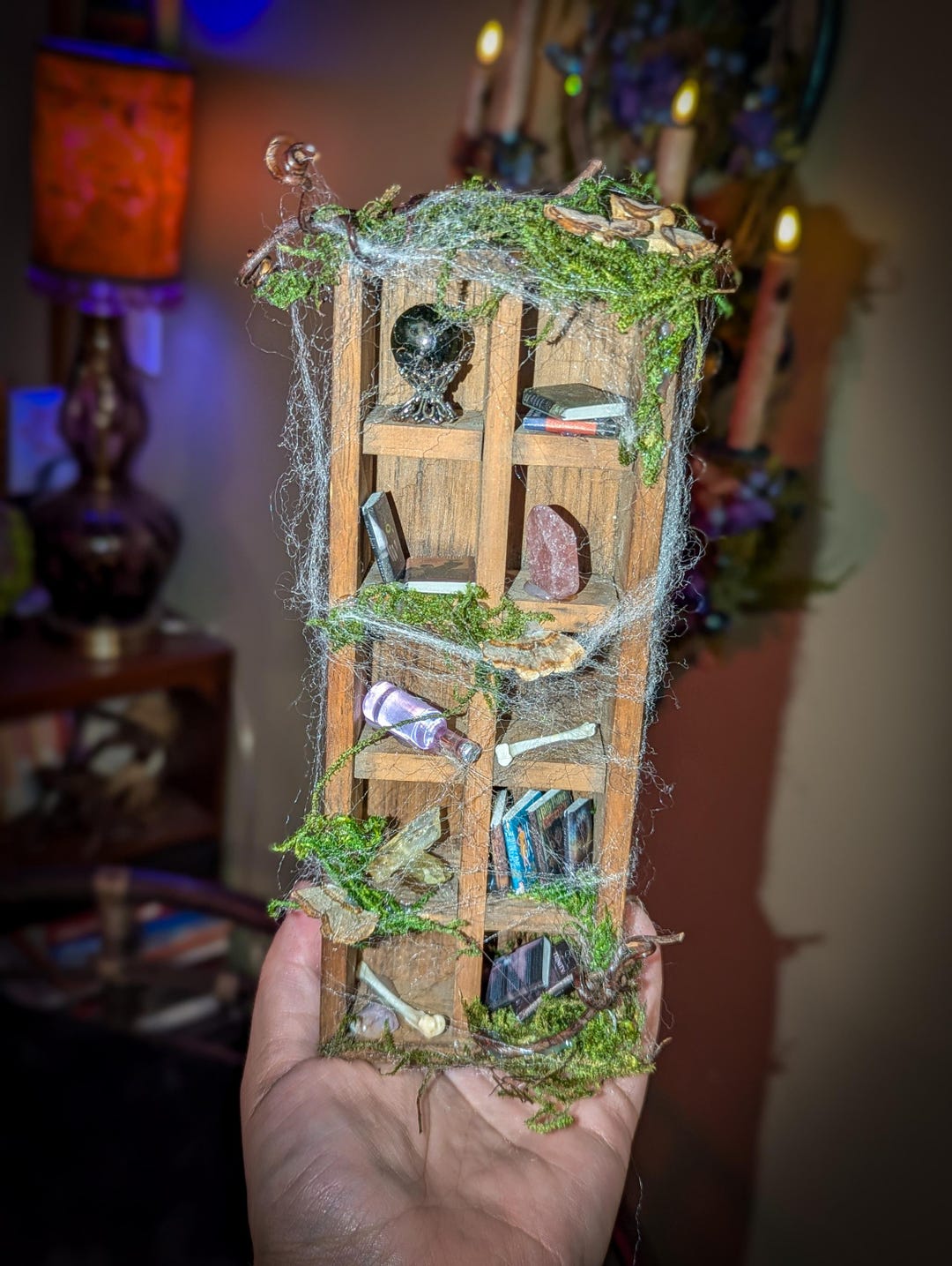 Miniature Apothecary Shelf,spooky Apothecary Bookcase,curiosity Shelf W ...