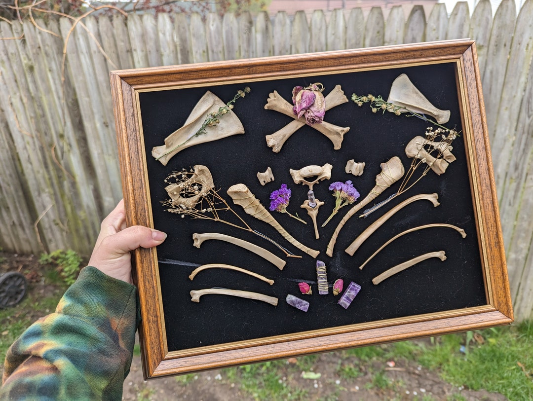 Goat Bone Display With Crystals and Dried Flowers,bone Art, Vintage ...