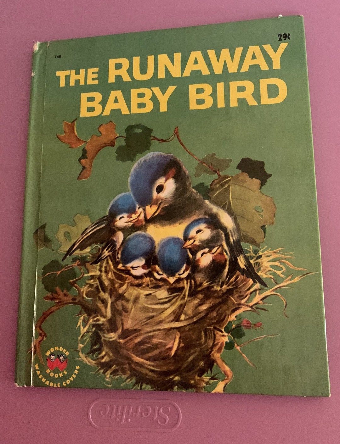 The Runaway Baby Bird Childrens Book 1960 - Etsy