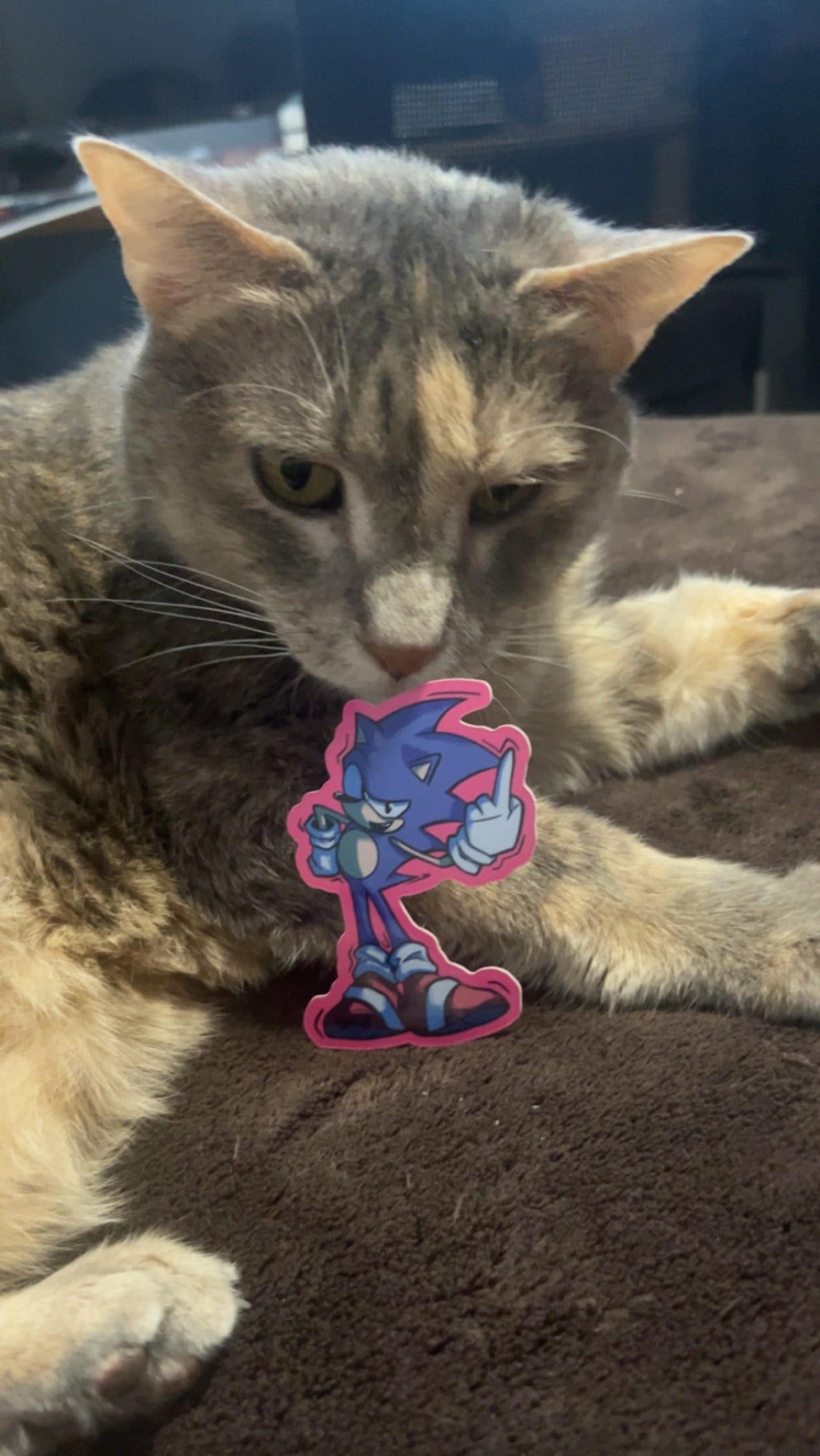 Sonic OVA Middle Finger Gloss Sticker - Etsy