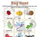 Children's Bug Hunt Activity Printable - Etsy