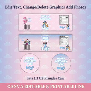 Bluey Pringles Label Party Favor - Etsy