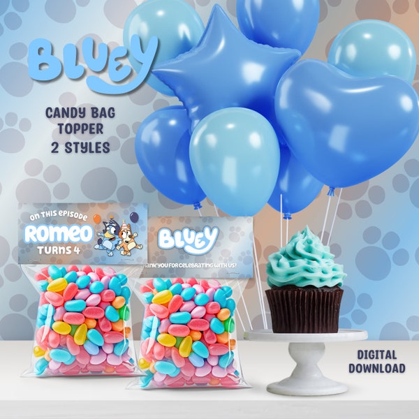 Bluey Birthday Loot Bag - Etsy