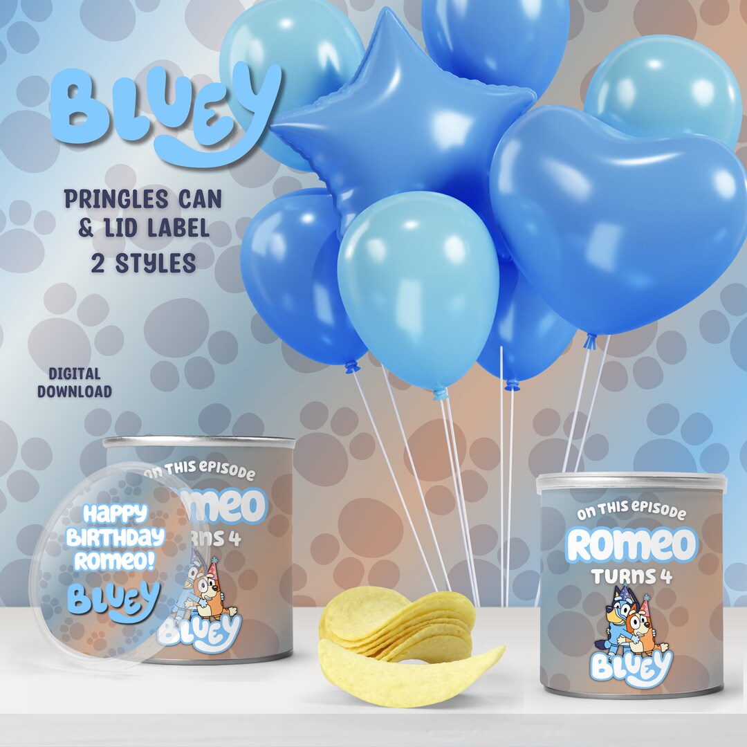 Bluey Pringles Label Party Favor - Etsy