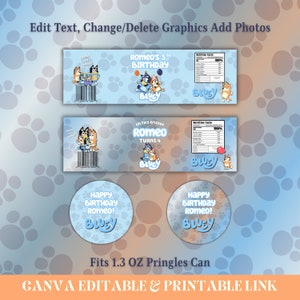 Bluey Pringles Label Party Favor - Etsy