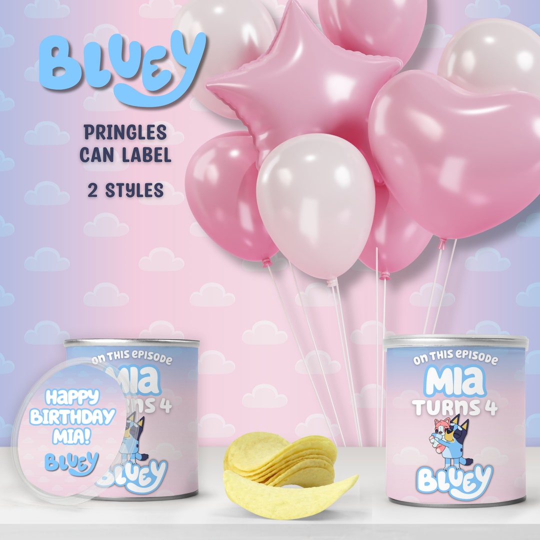 Bluey Pringles Label Party Favor - Etsy