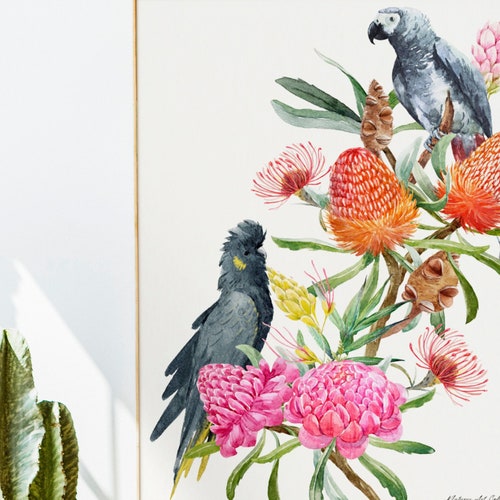 Australian Flowers Art Print Native Aussie Flora Wall Decor - Etsy