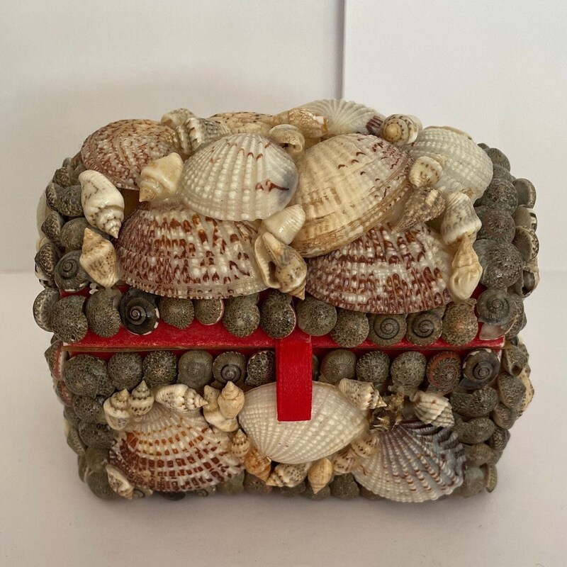 Shell Box - Etsy