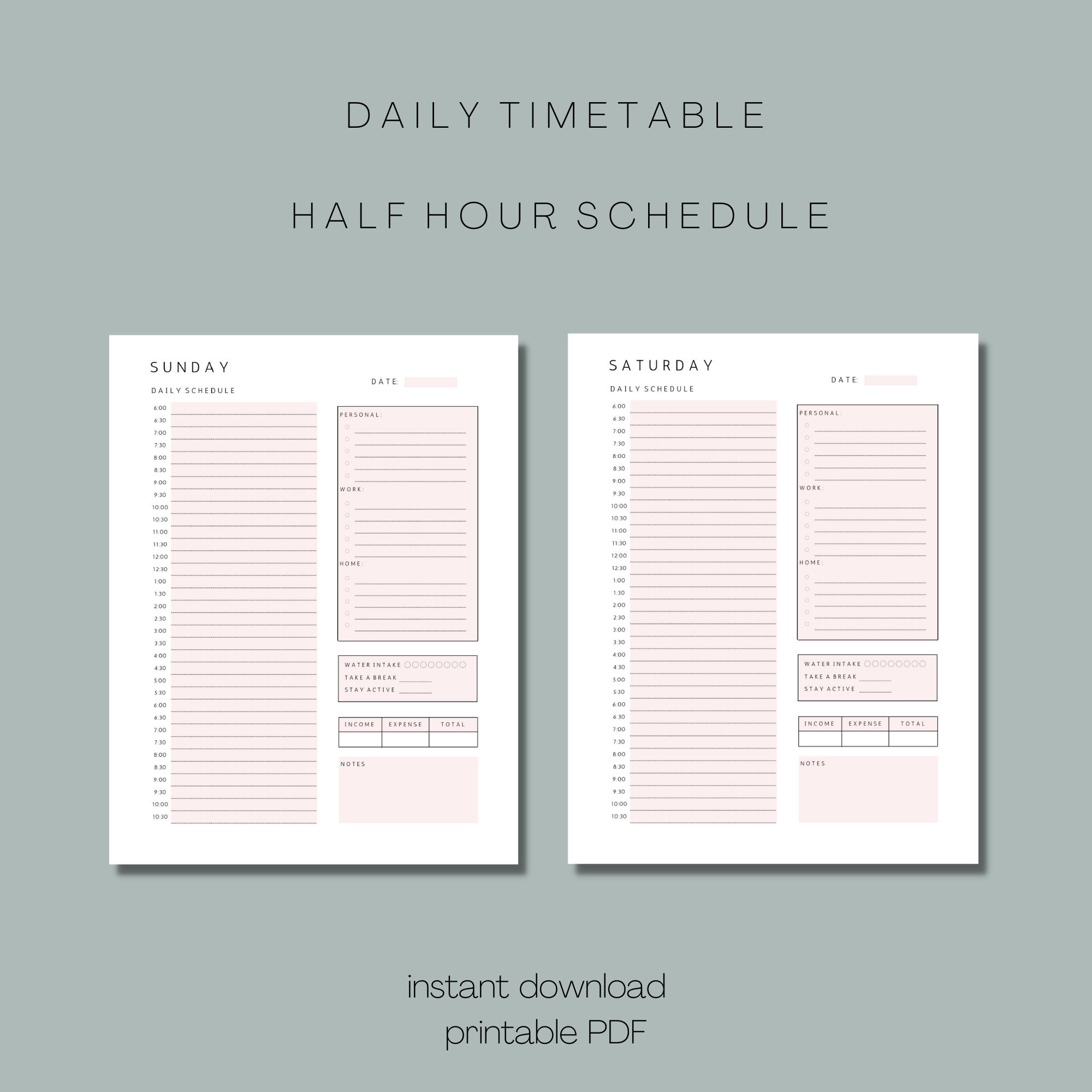 Daily Schedule Template 30 Minutes