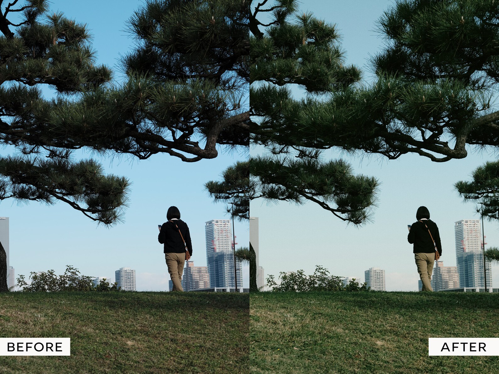 10 Portra Capture One Styles Film Aesthetics C1 Style Pack - Etsy