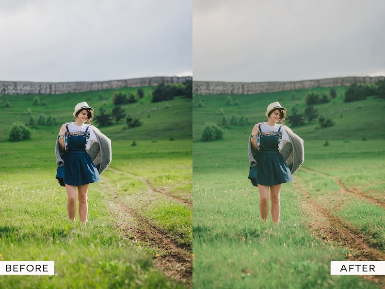 Capture One Styles SOFT FILM Capture One Profile Film | Etsy