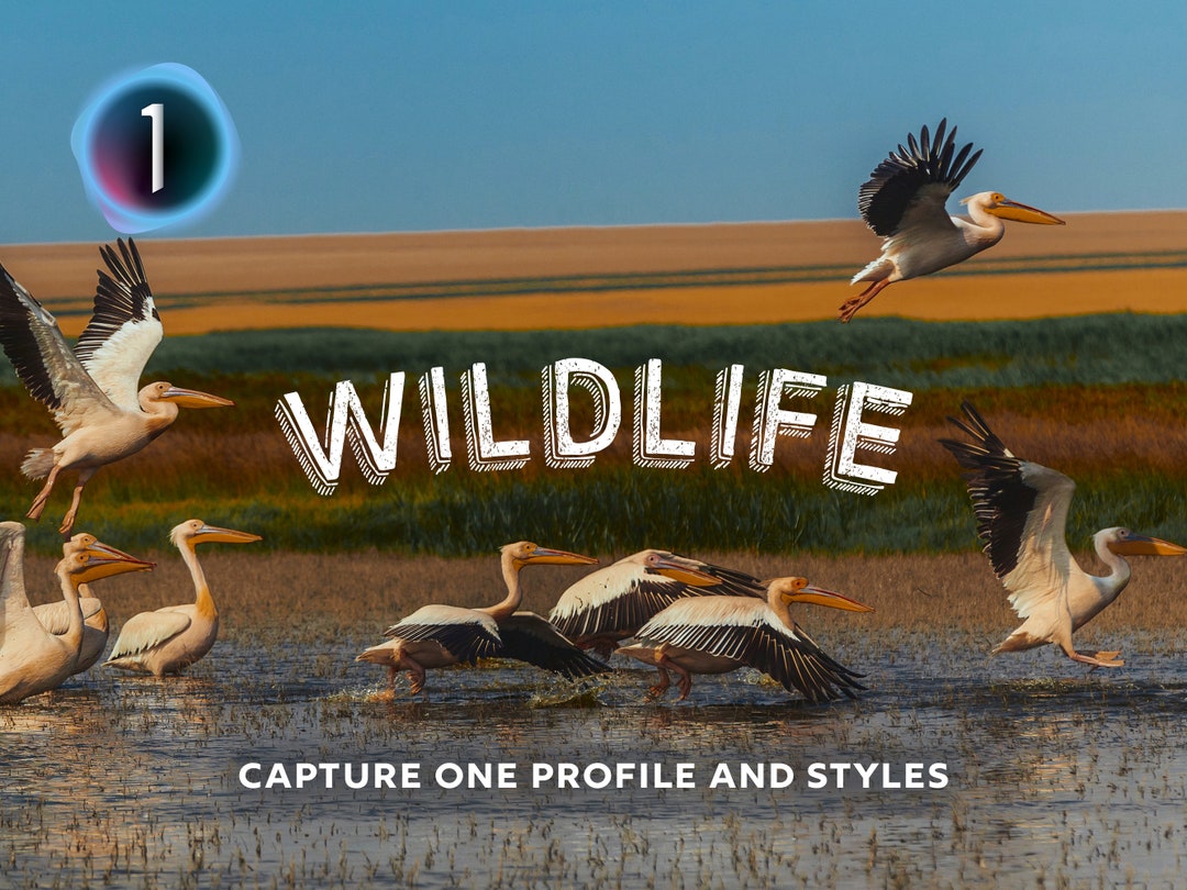 Capture One Styles, WILDLIFE Capture One Profile, Animals Presets ...