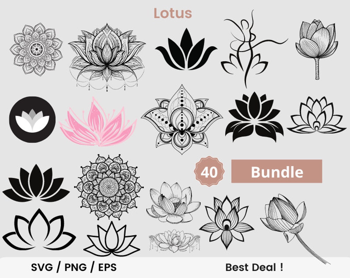 40 Lotus Svg Bundle Lotus Clipart Lotus Flower Svg Lotus | Etsy