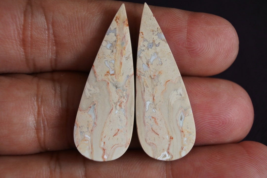 Fossil Palm Root Pair - Etsy