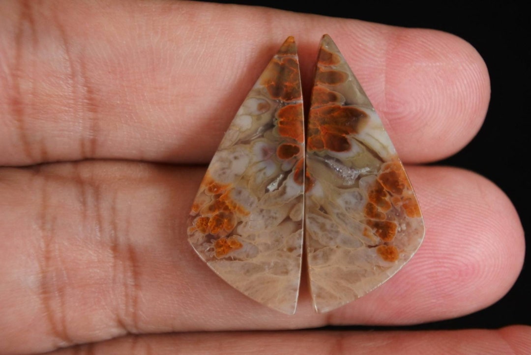 Plume Opalized Petrified Wood Multycolor Pair - Etsy