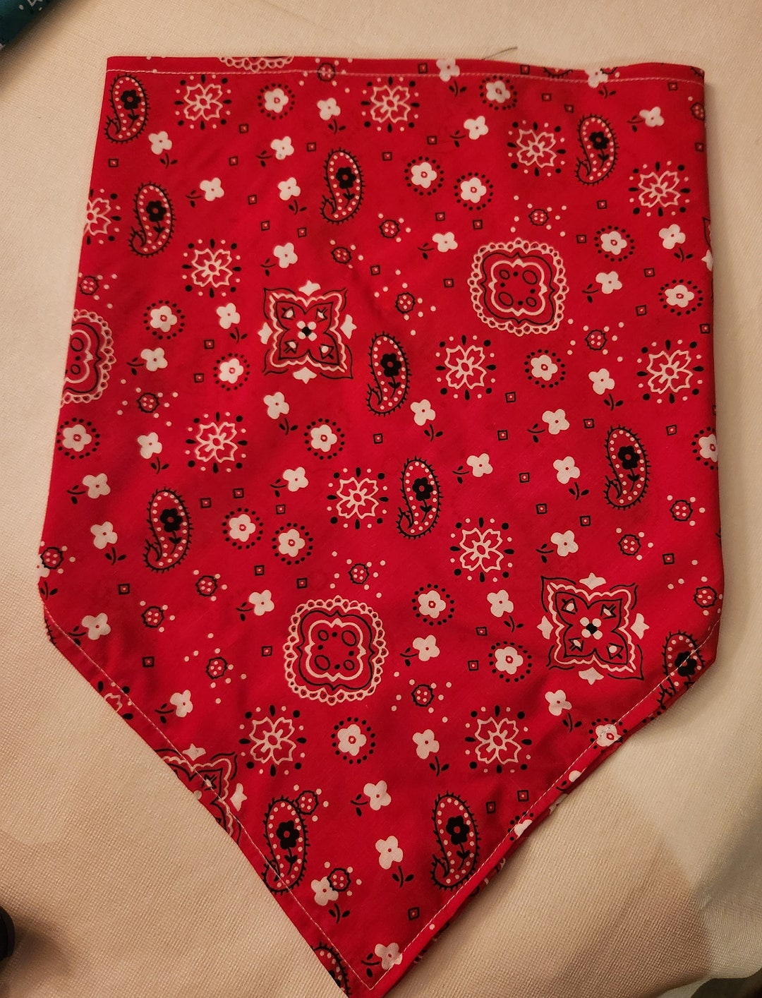 Biker Scarf Colorful Face Mask Bandana Scarf for Cycling Face Shield ...