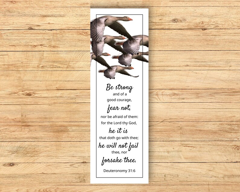 Printable Bible Verse Bird Bookmarks | Set of 4 - Etsy