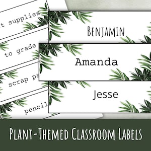 Plant-themed Classroom Labels | Editable & Printable | Desk Name Tags ...