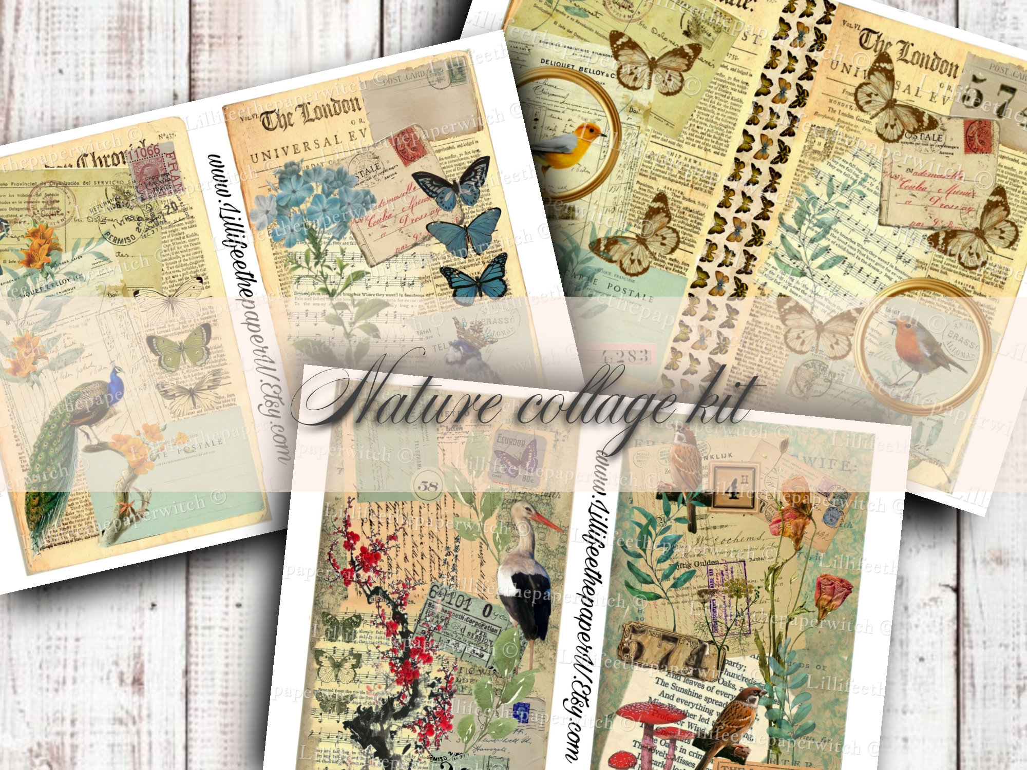 Nature Collage Kit,10sheets,collage Paper,ephemera,digital Paper ...