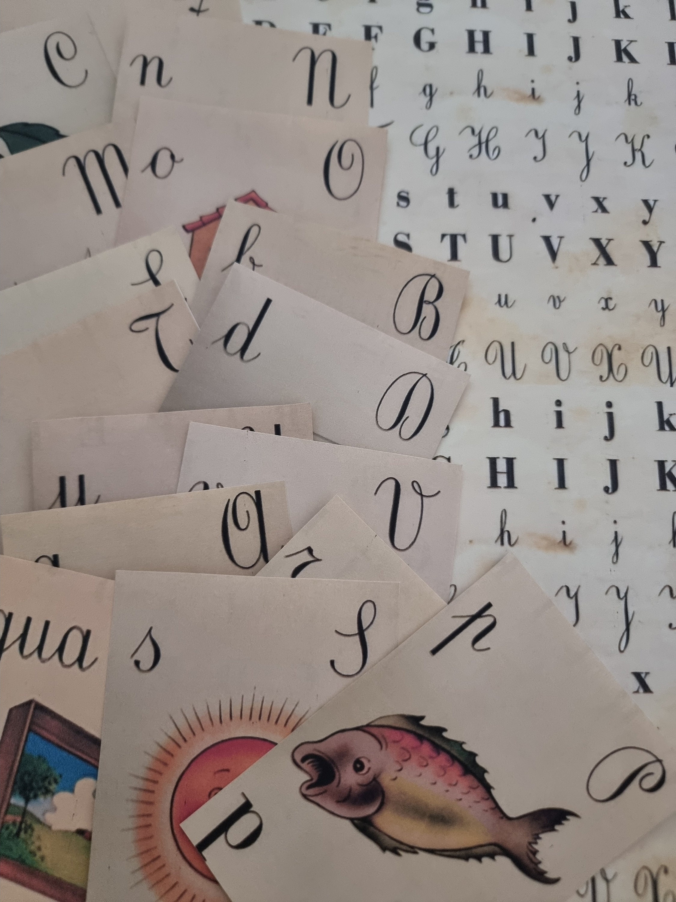 Vintage Italian Alphabet 1950, Alphabet Flash Cards, Junkjournal-plus ...