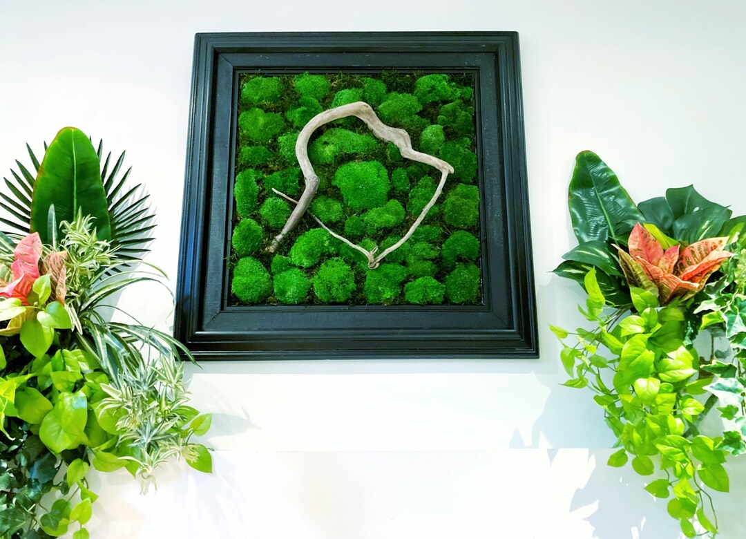 Plant Frame, Plant Wall, Recycled Frame, Preserved Moss and Natural ...