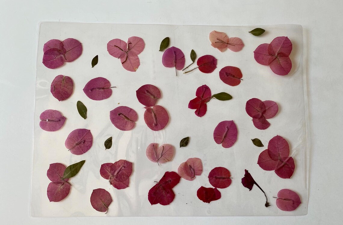 Modern Placemats W/ Pressed Flower Art Nature Inspired Art - Etsy