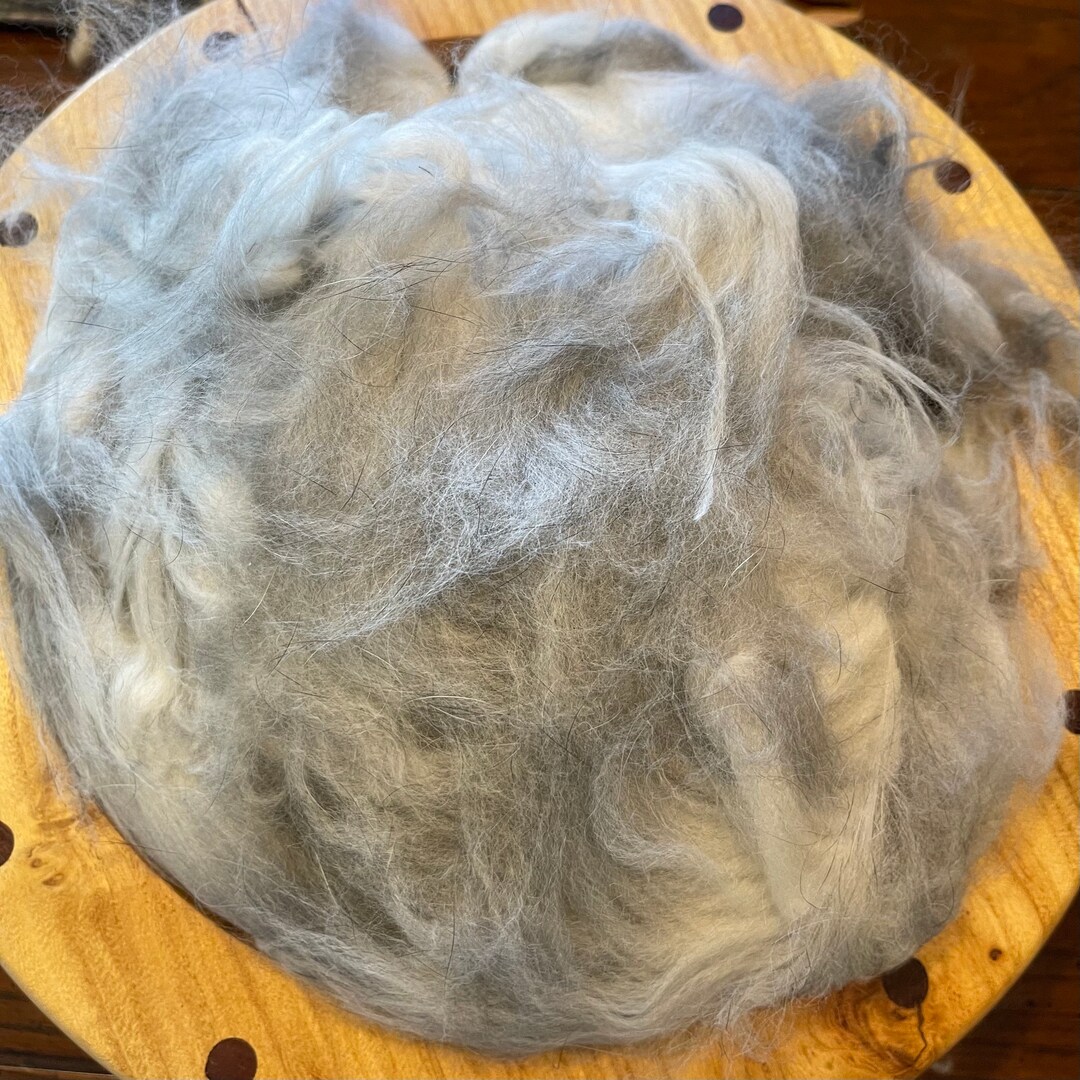 Black Raw English Angora Rabbit Fiber Wool From Teddy and Zorro for ...