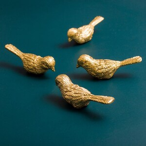 Quirky Knobs Bird Knobs Bird Knobs and Pulls Knobs and - Etsy UK