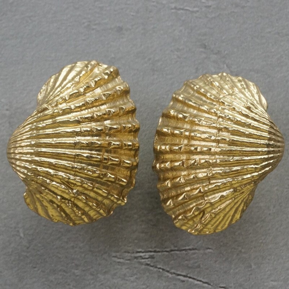 Seashell Knobs Beach Knobs and Pulls Beach Knobs Shell - Etsy