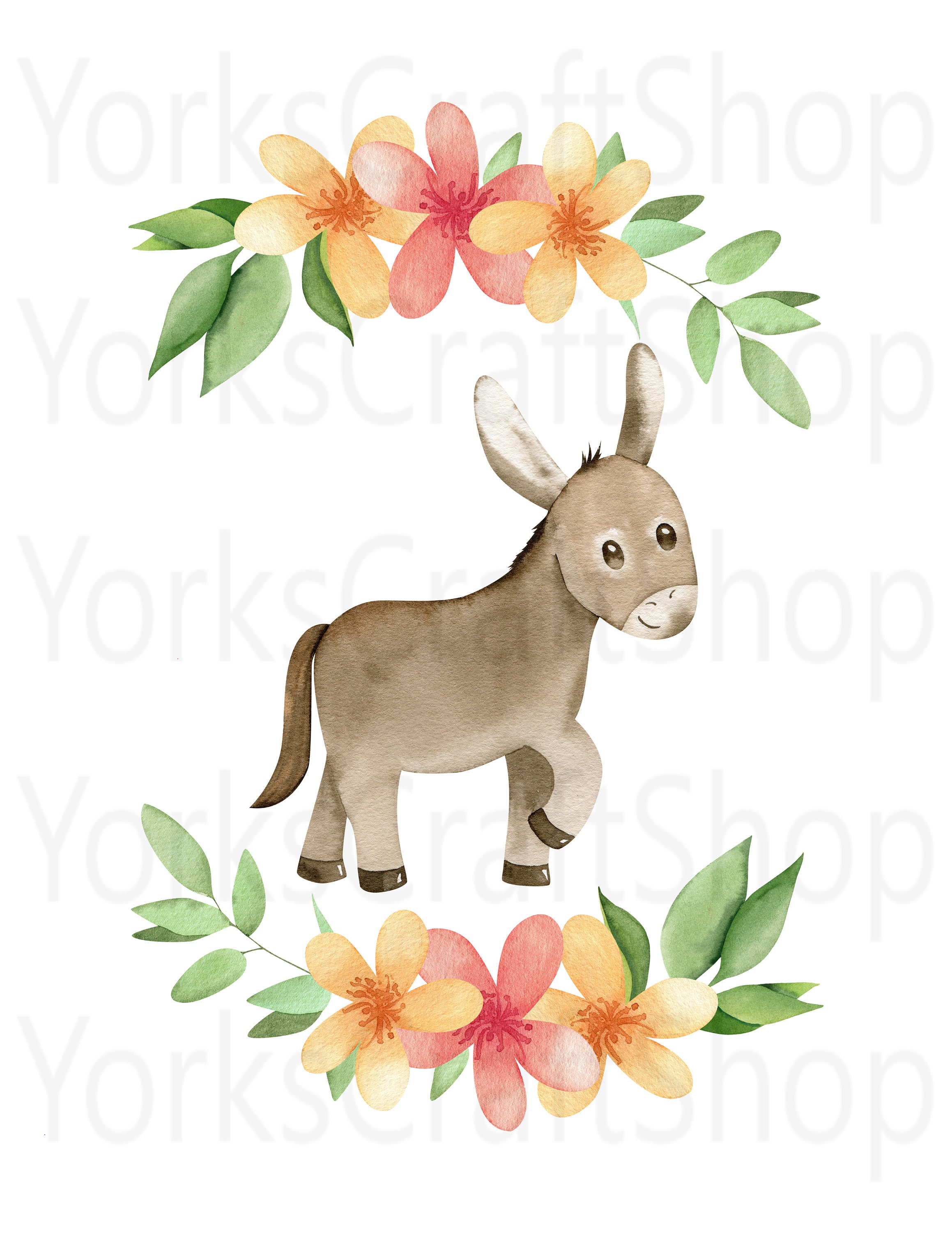 Cute Baby Donkeys
