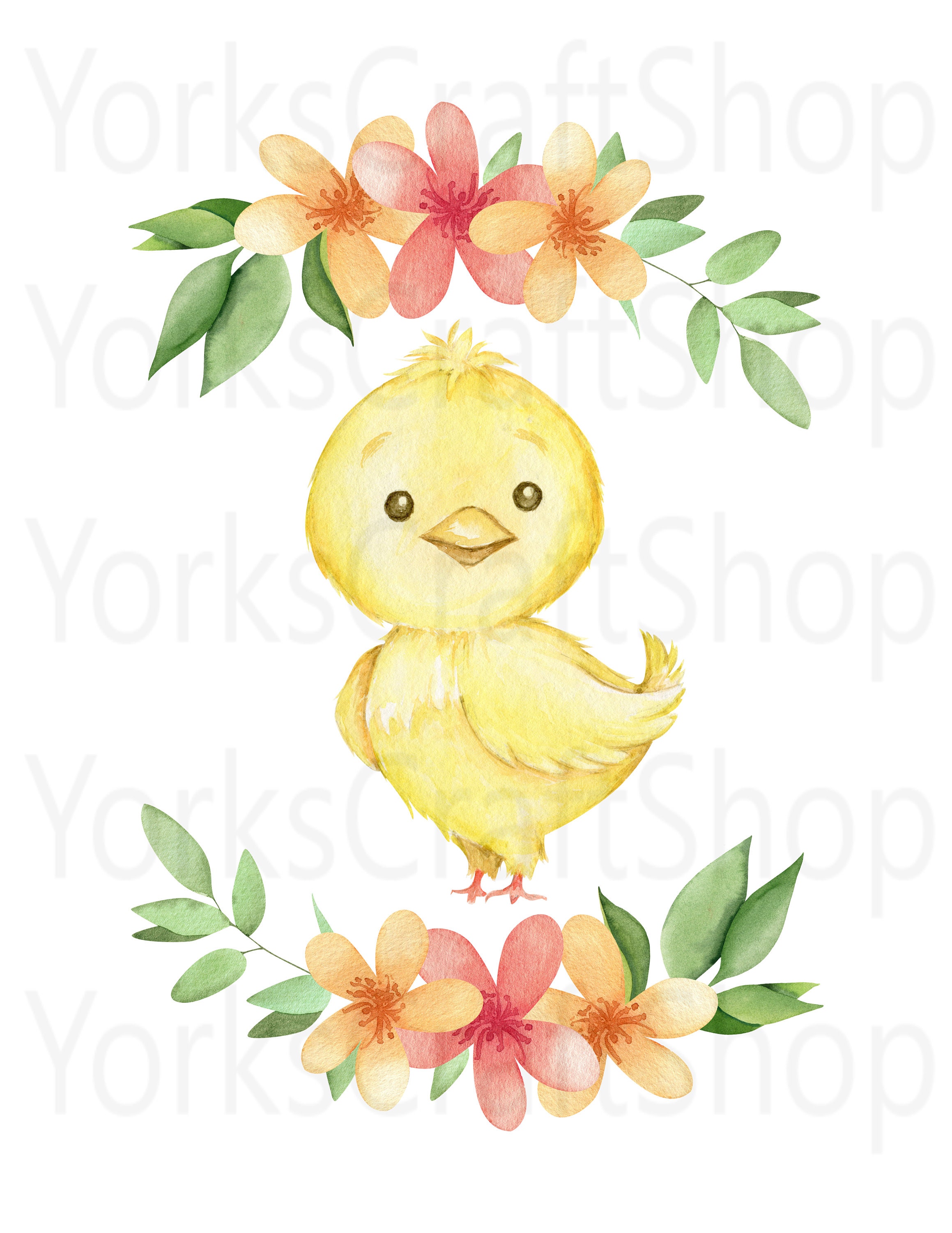Cute Baby Chick Drawing