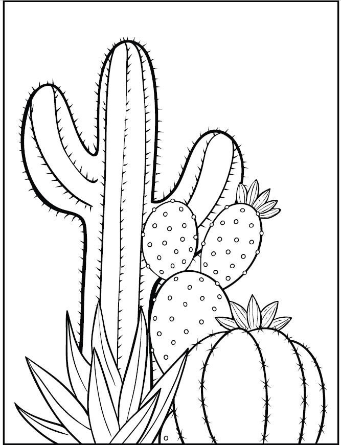 Desert Plants Coloring Pages