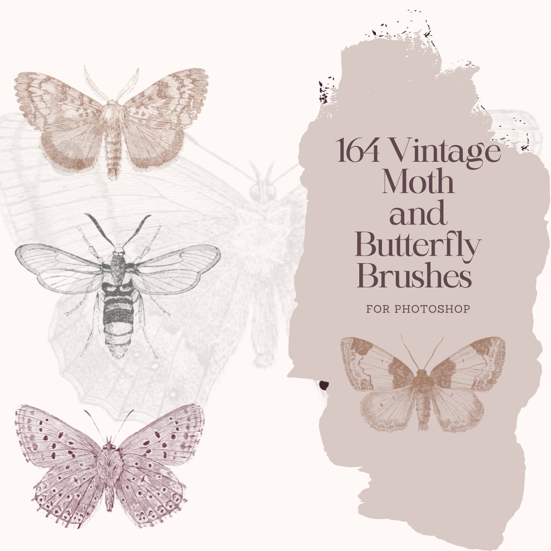164 Vintage Moth & Butterfly Brushes for Adobe Photoshop | Antique Moth ...