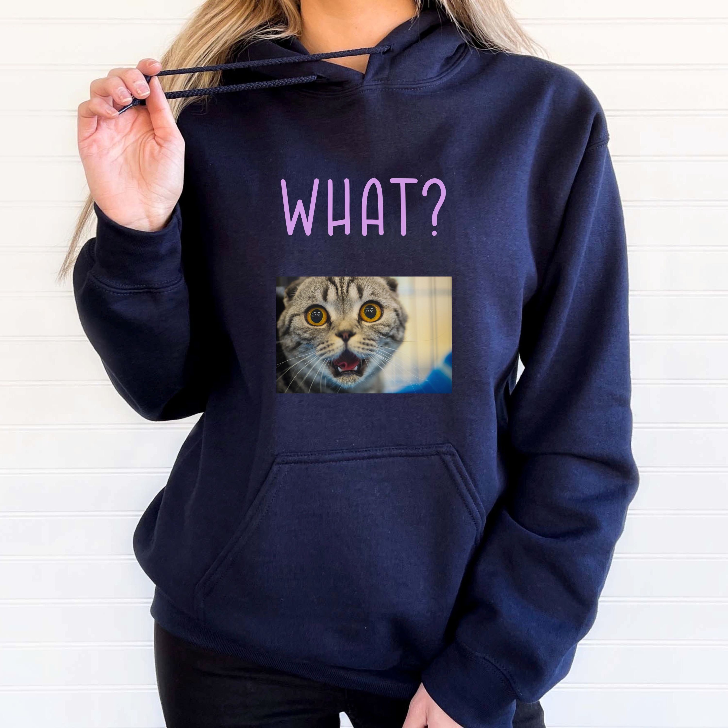 What Funny Cat Hoodie, Hilarious Cat Meme Gifts, Purr-fectly Witty Cat ...