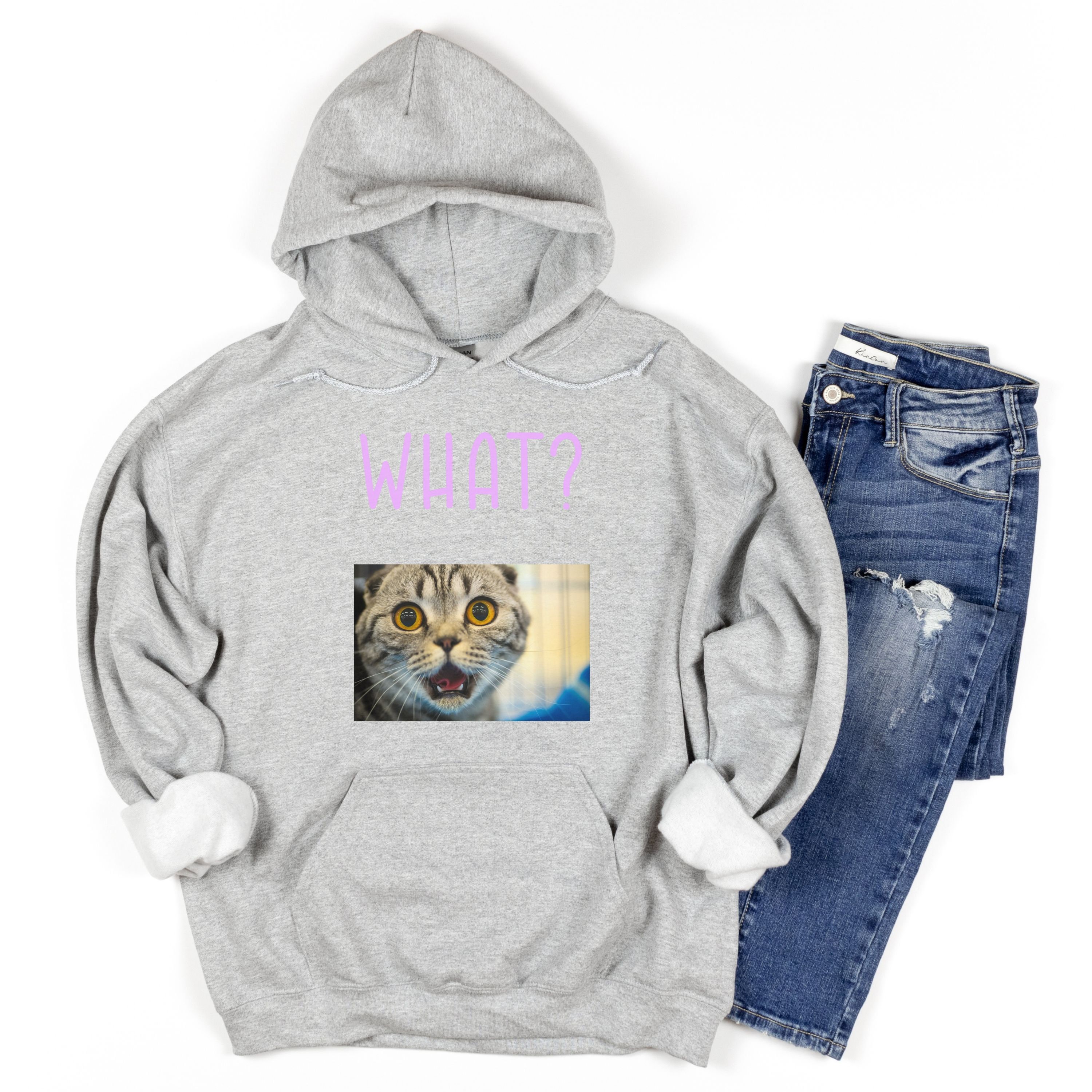 What Funny Cat Hoodie, Hilarious Cat Meme Gifts, Purr-fectly Witty Cat ...