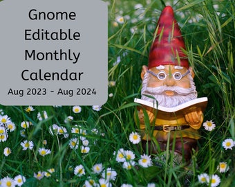 Dinosaur Editable Classroom Calendar Aug 2023 Aug 2024 - Etsy