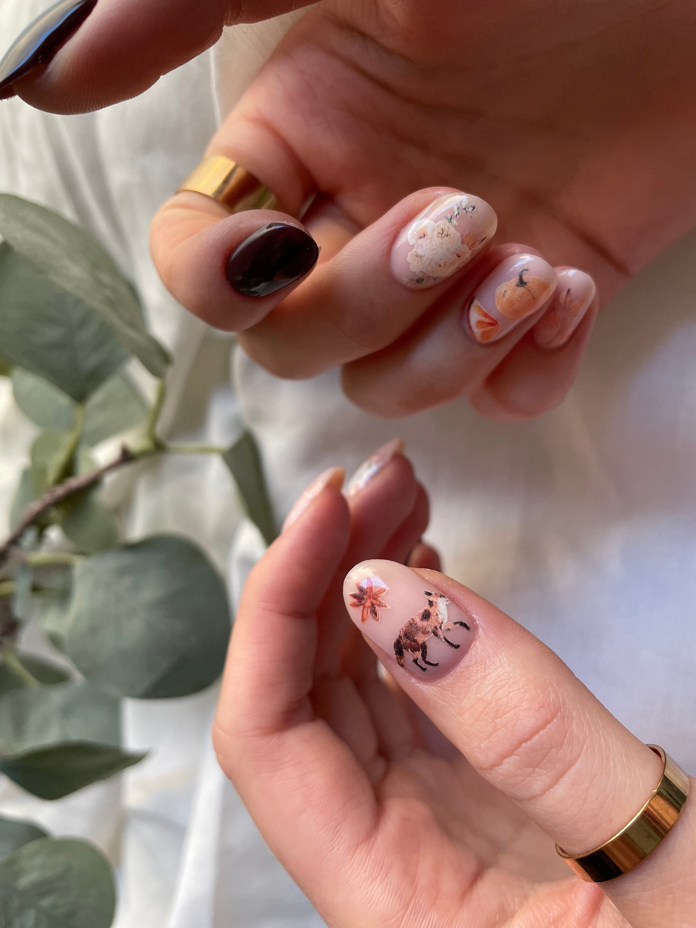 Cornucopia Waterslide Nail Decal Set Nail Art | Etsy