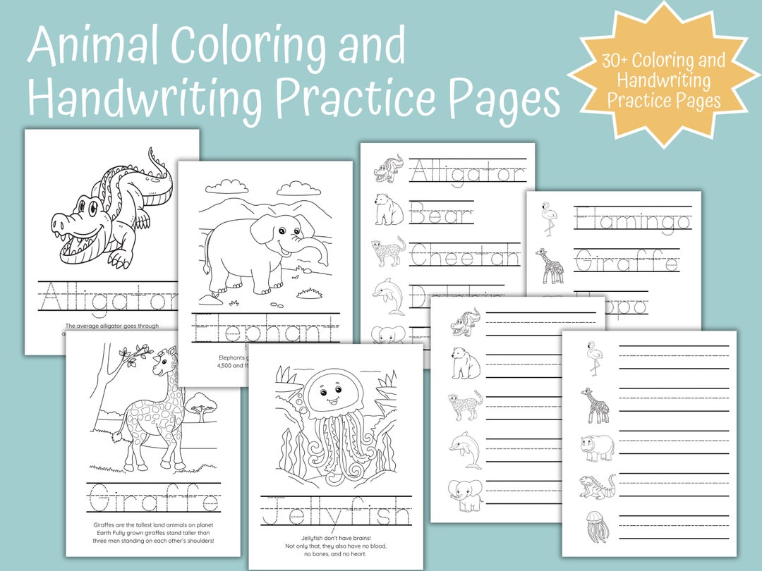 Animal Alphabet Tracing Activity Pages - Etsy