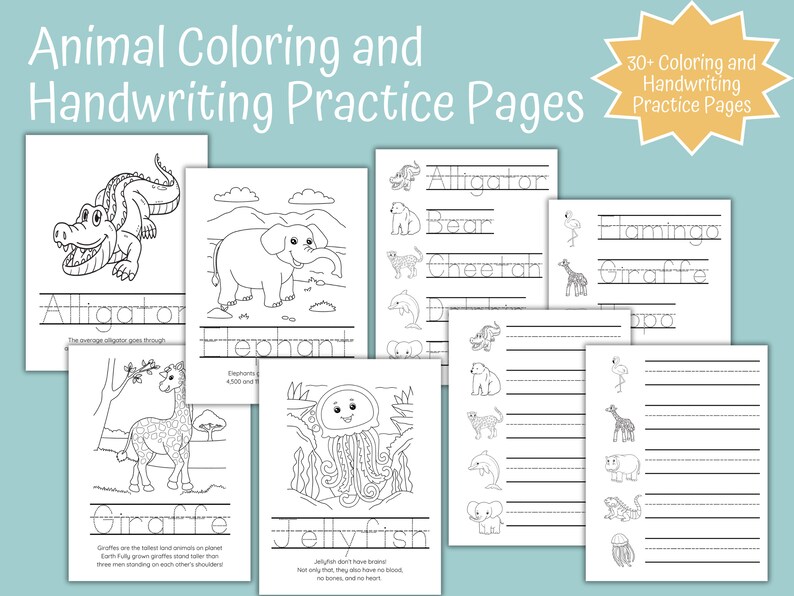 Animal Alphabet Tracing Activity Pages - Etsy