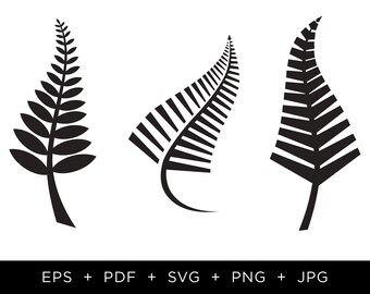 Fern Svg - Etsy