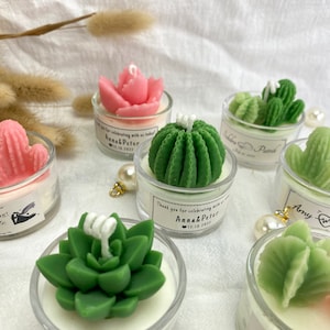 8-48pcs Custom Label Mini Succulent Candle/cactus Tealight Candles ...