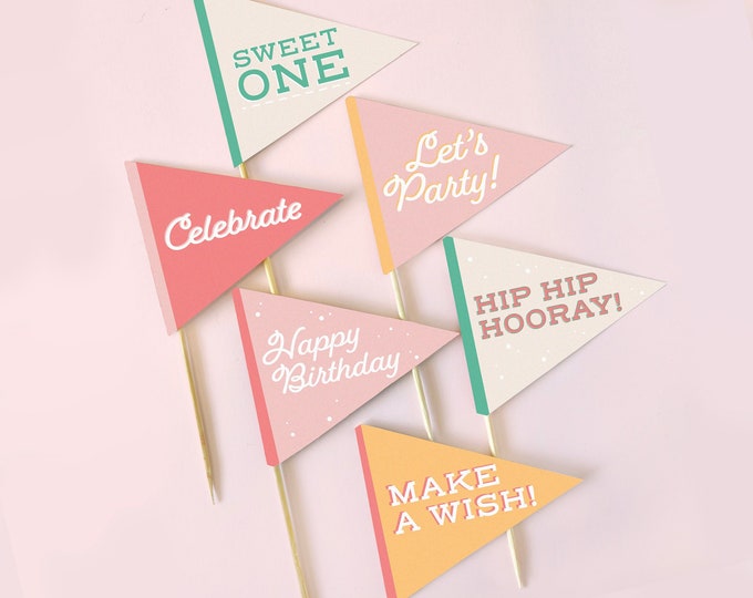 Printable Birthday Party Pennant Flags, Instant Download, Boy and Girl ...